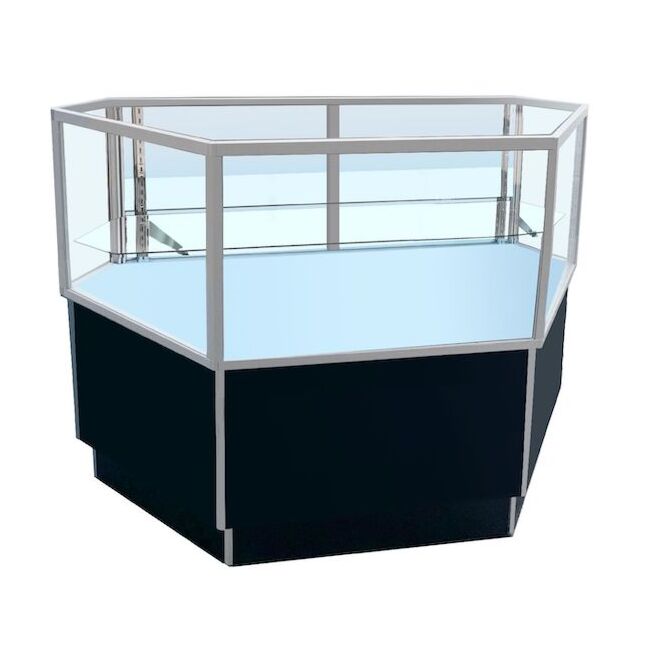 Inside Half Vision Showcase | Economy Corner Showcase